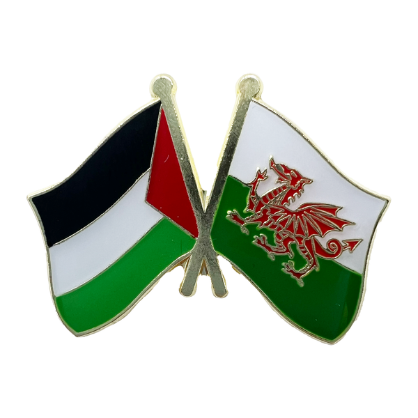Palestine & Wales Friendship Pin Badge – Panda Loco